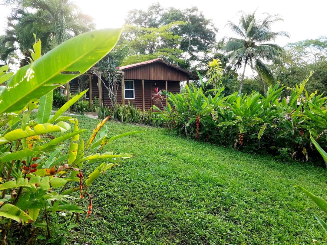 Accommodations - The Log Cab-Inn